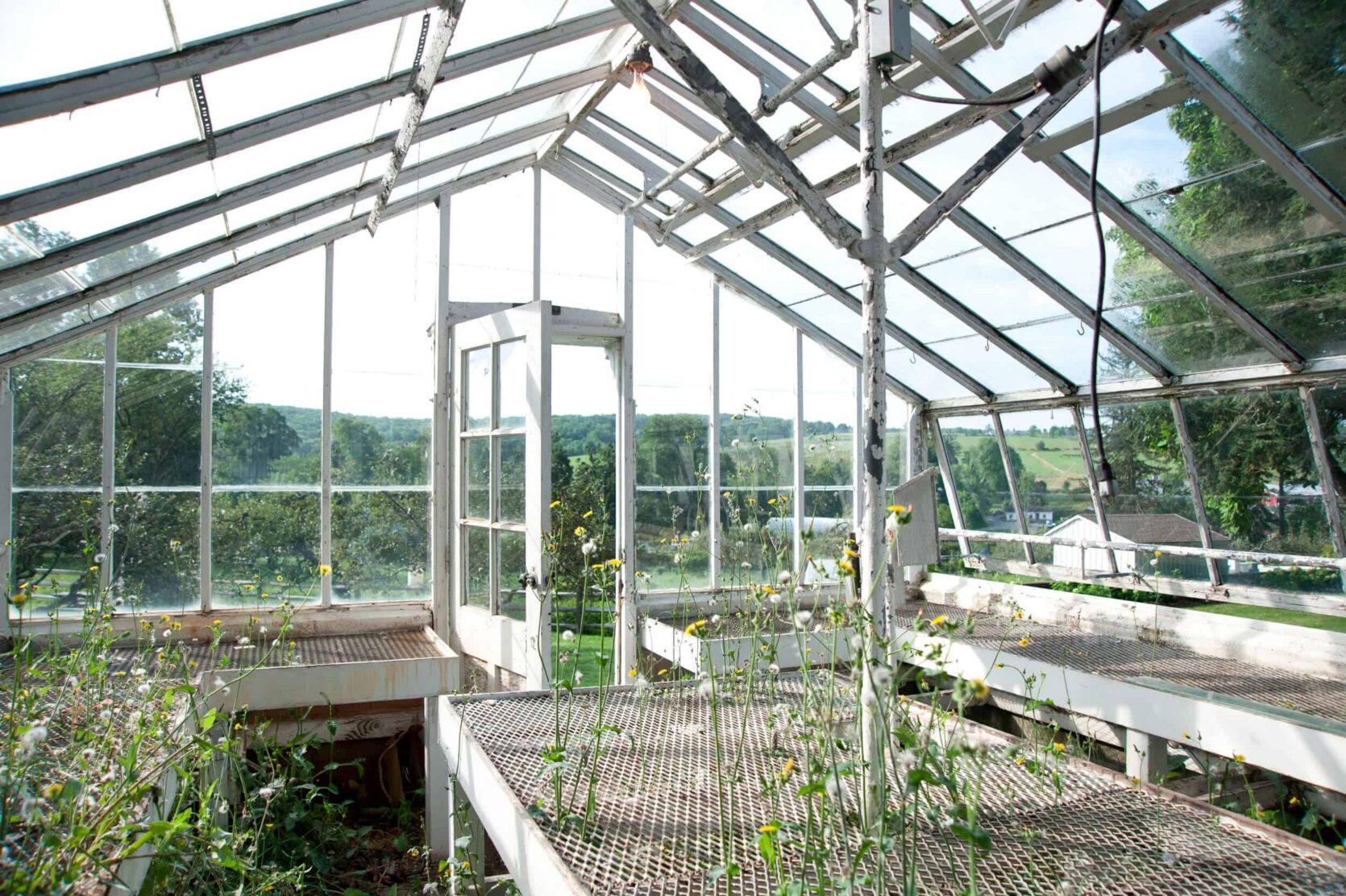 A Greenhouse Makeover with 'The Frame' + Get The Look - Emily Henderson