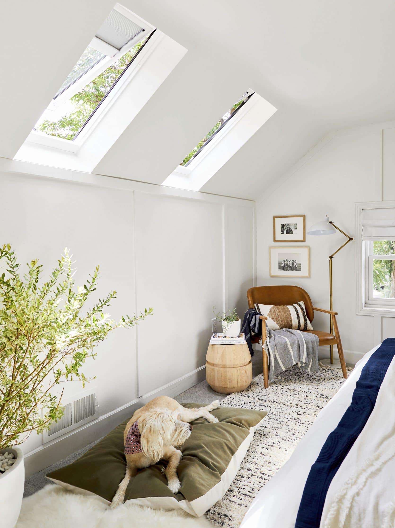 Reveal: How We Brightened Up a Room (and Some Deserving Lives) with ...