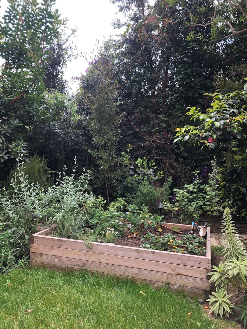 My (Beginner) Plan To Grow A Backyard Garden - With Key Tips From Some ...