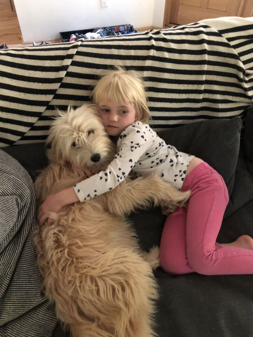 A Puppy Update Because .... Everyone Likes Puppies?? Also, We Need Tips ...