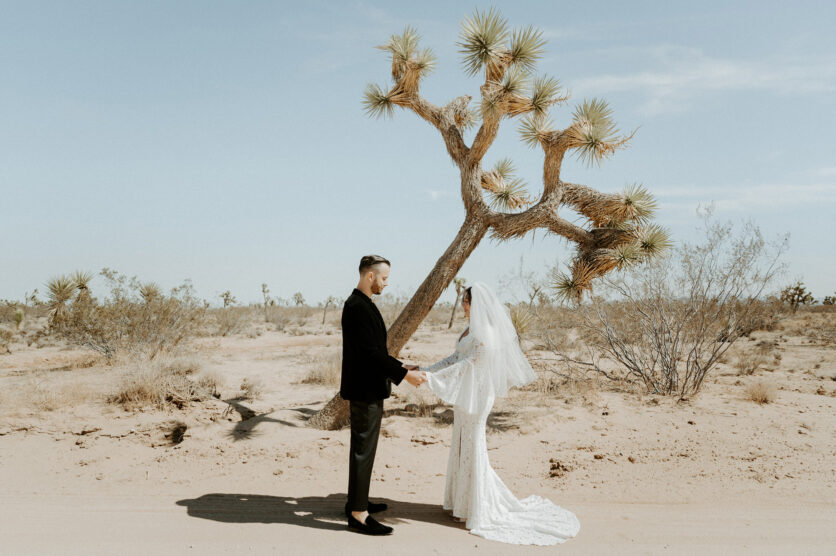 Sara Got Married! A DIY Wedding In The Desert That Was Filled With ...
