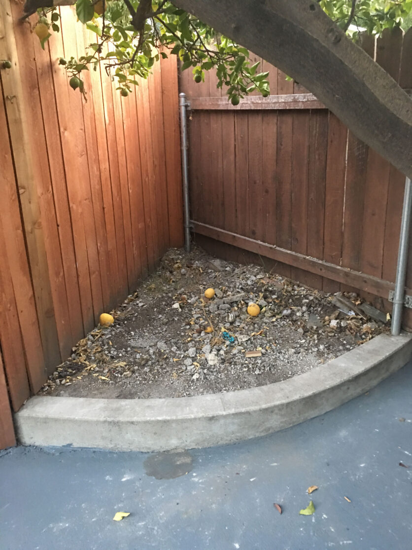 Introducing Bowser’s Never Before Seen Backhouse Backyard (+ Her Plans ...