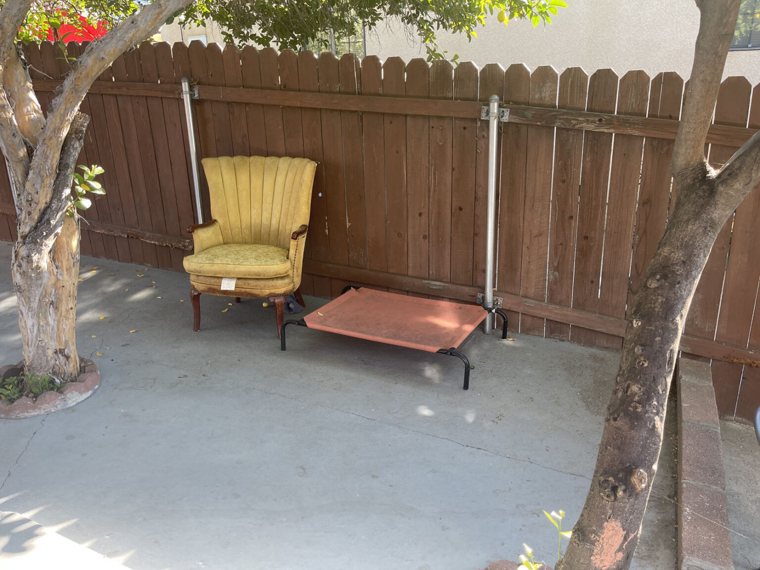 Introducing Bowser’s Never Before Seen Backhouse Backyard (+ Her Plans ...