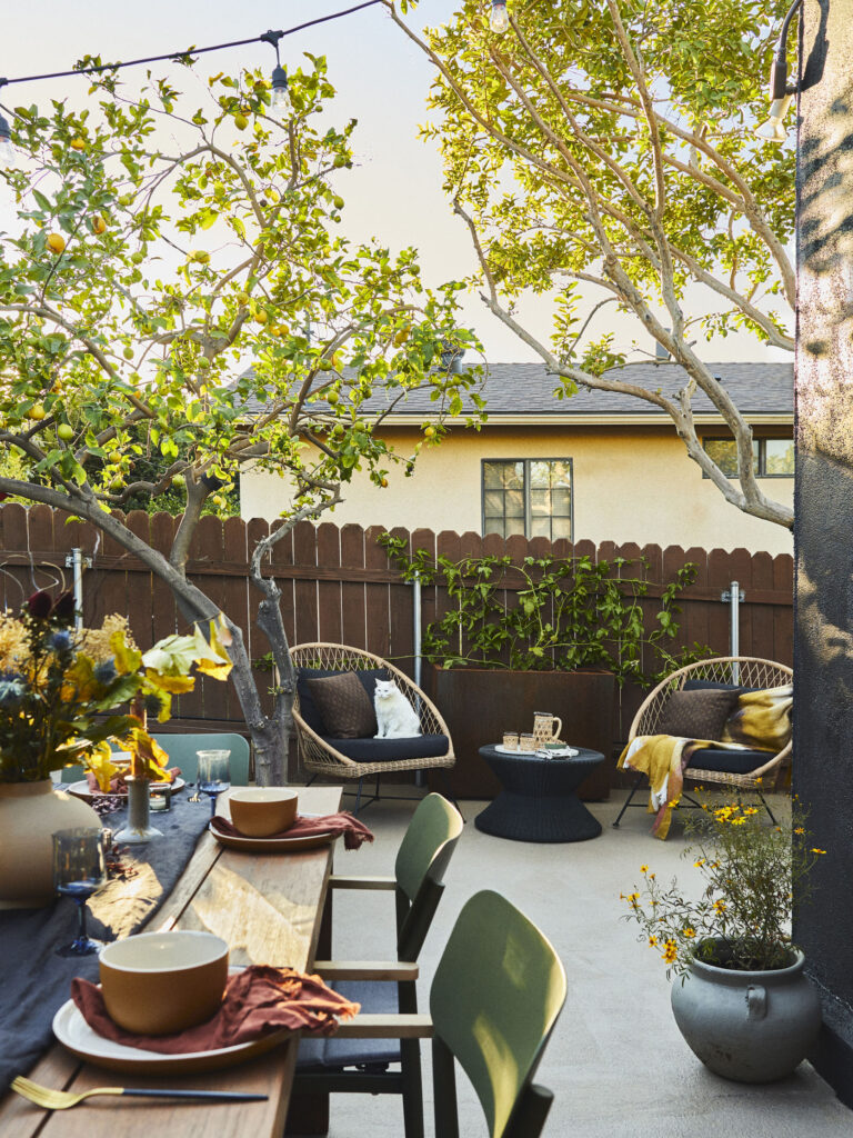 Emily Bowser's Back Unit Yard REVEAL, 2022 Musings, New Year ...