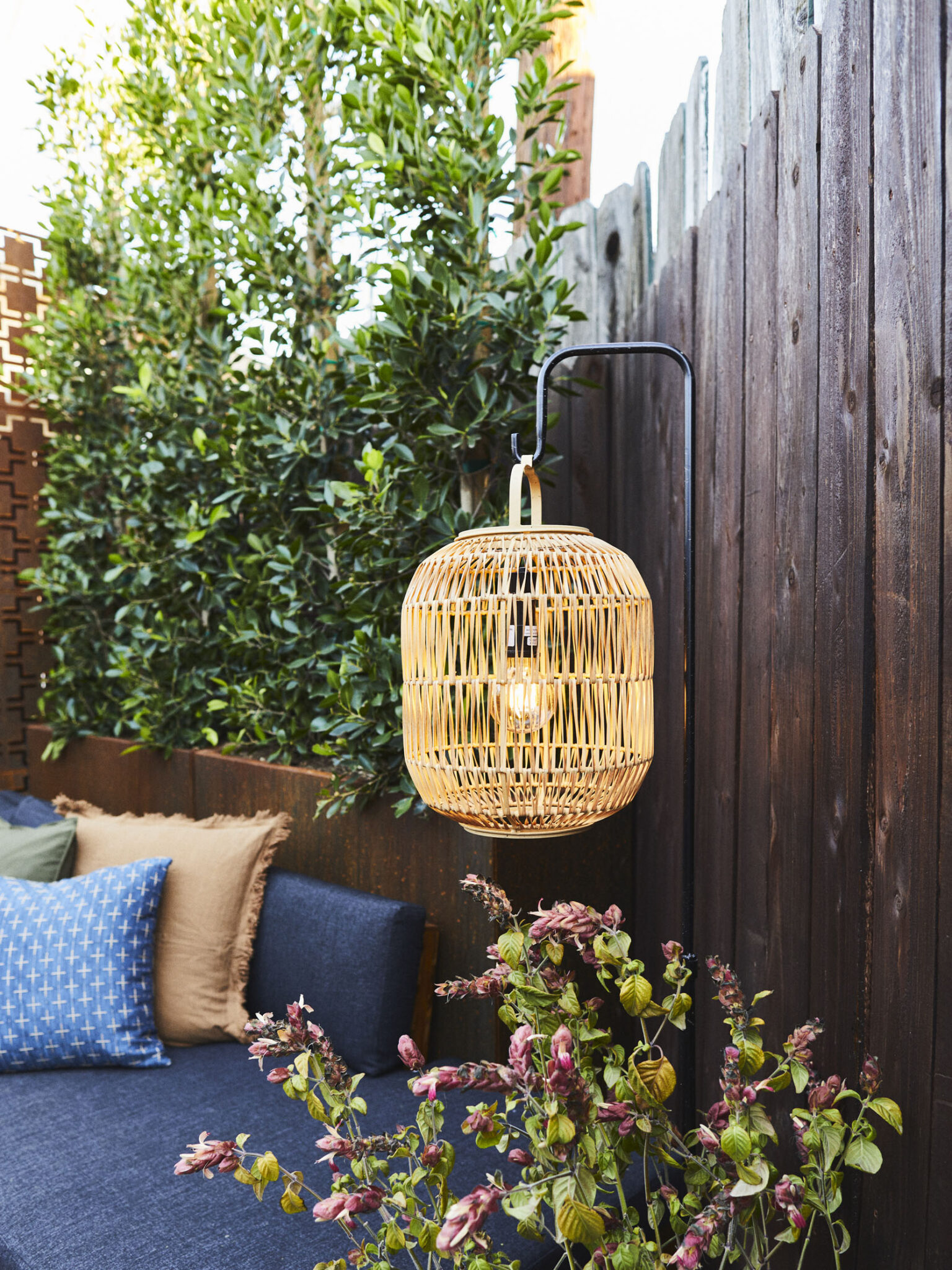 Emily Bowser's Back Unit Yard REVEAL, 2022 Musings, New Year ...