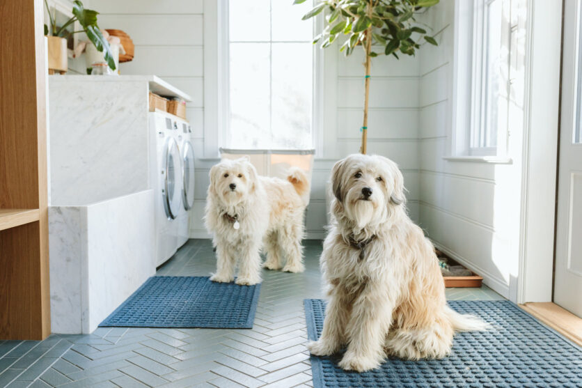The Mudroom Dog Washing Station: Measurements, How It's Working + Some ...