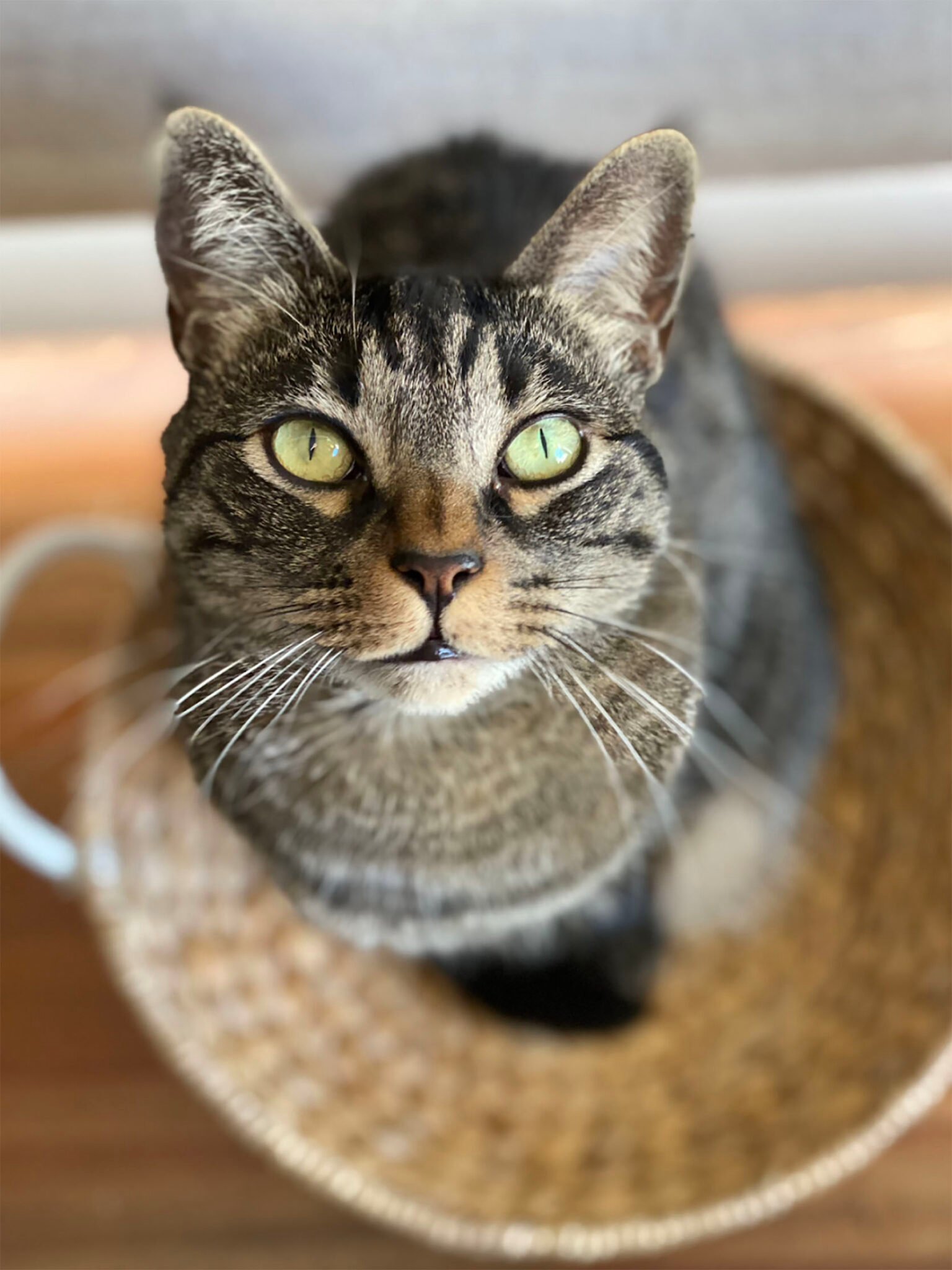 Emily Bowser's Kitchen REVEAL! Plus The 8 Ways She Really Maximized Her ...