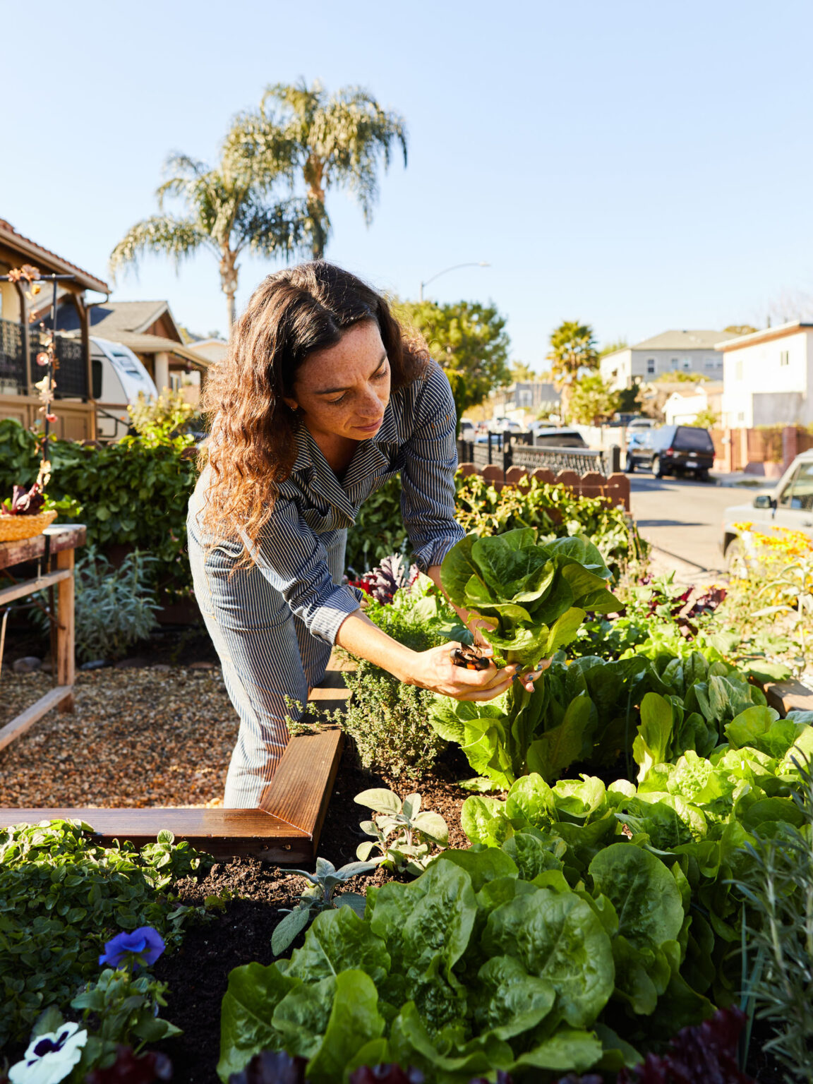 THE REVEAL: Emily Bowser's Front Yard Edible Urban Garden (Don't Worry ...