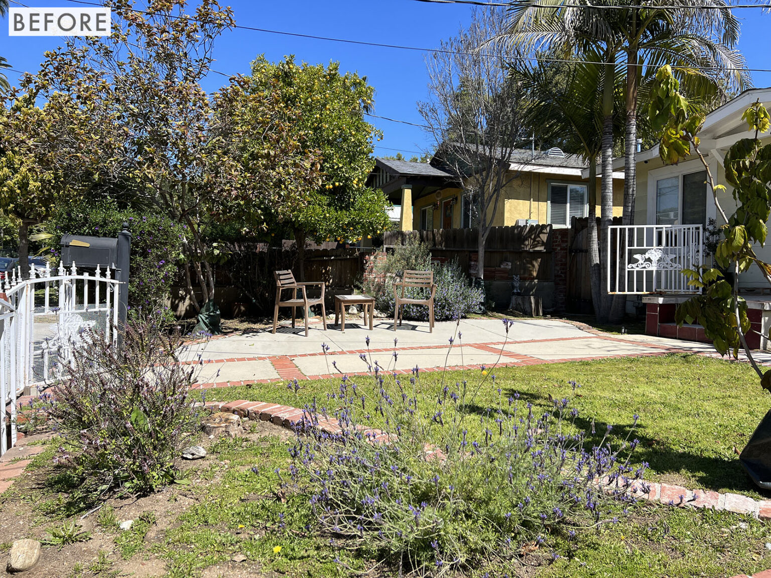 This Yard Makeover Only Took 3 WEEKS, Some Elbow Grease, And A New ...