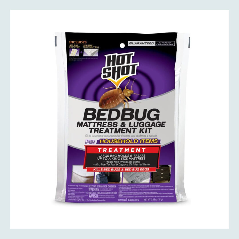 Traveling This Season?? Here's How To Avoid Getting Bed Bugs (From Someone Who Knows) - Emily ...
