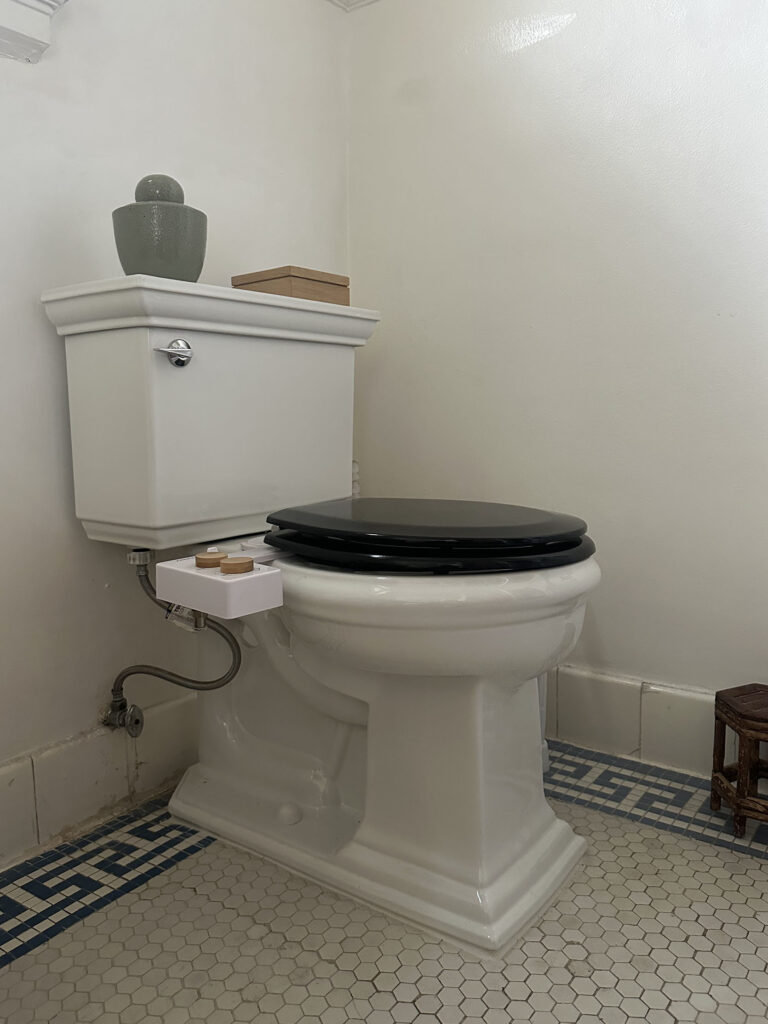 11 Aesthetically Appealing Toilets That Won’t Break The Bank (Including ...