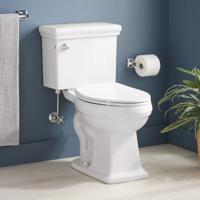 11 Aesthetically Appealing Toilets That Won’t Break The Bank (Including ...
