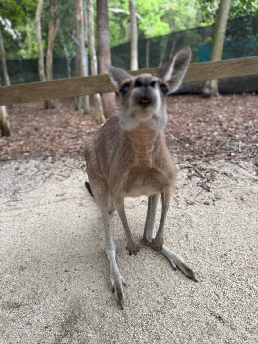 Caitlin Spent 3 Weeks Traveling Across Australia & New Zealand - Here's ...