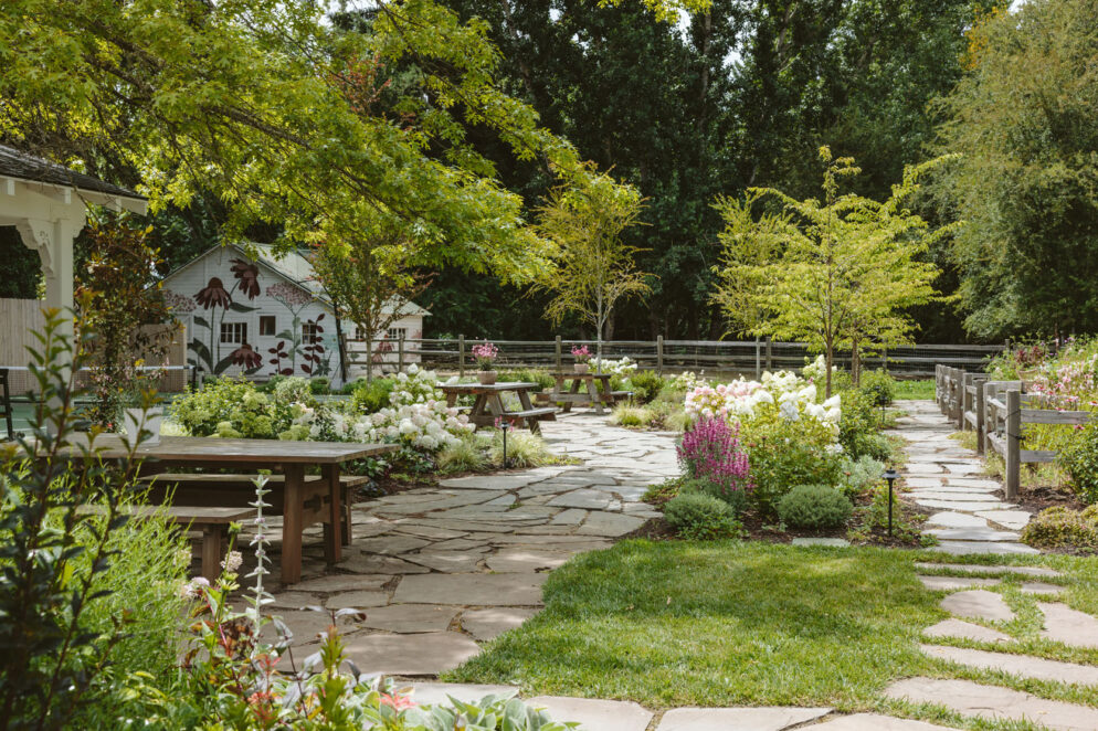 Our 2025 Summer Landscaping Reveal (With Full Process) - Emily Henderson