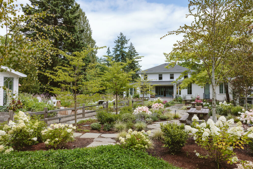 Our 2025 Summer Landscaping Reveal (With Full Process) - Emily Henderson