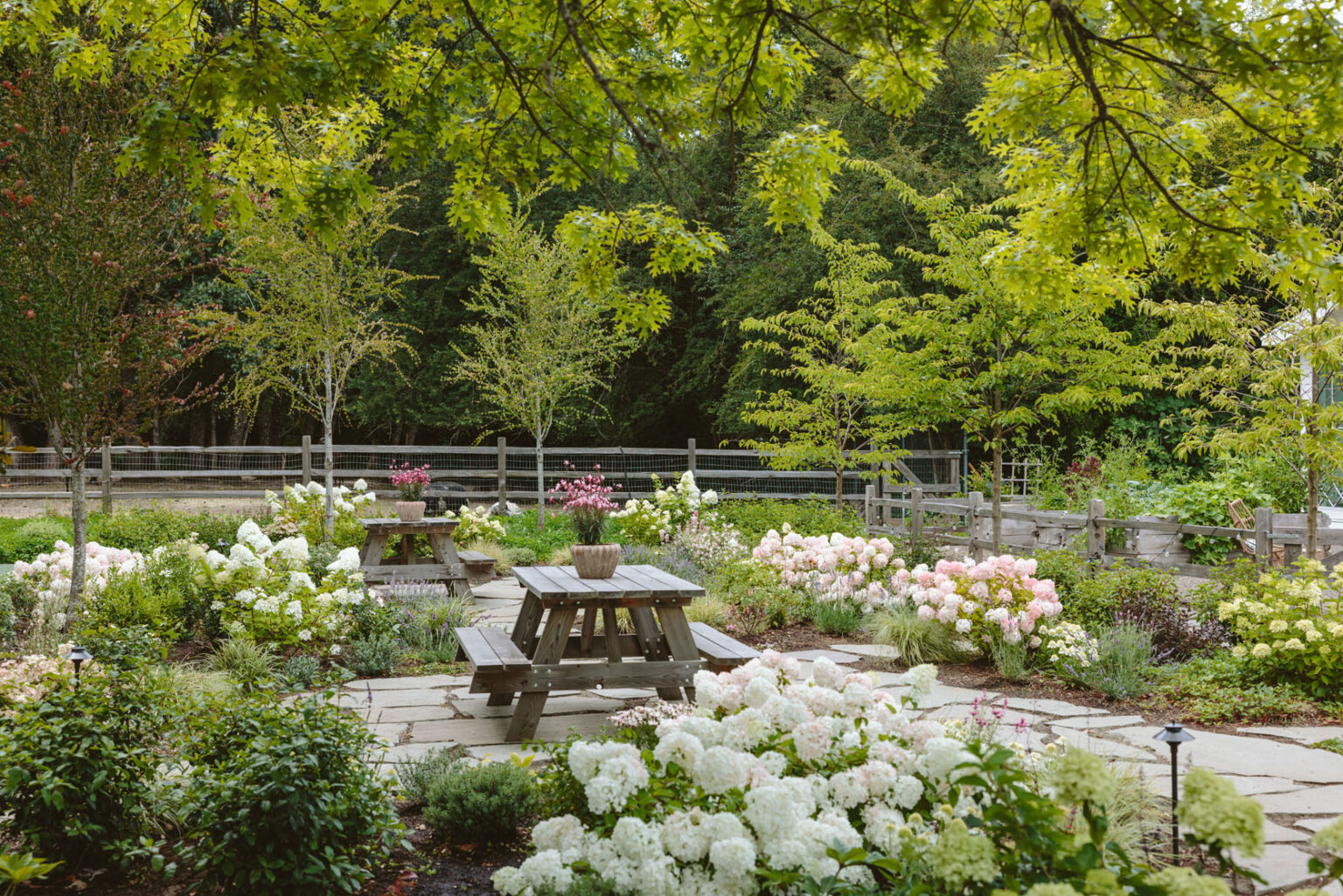 Our 2025 Summer Landscaping Reveal (With Full Process) - Emily Henderson