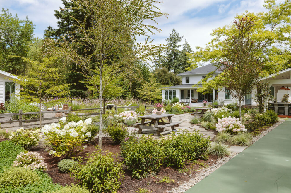 Our 2025 Summer Landscaping Reveal (With Full Process) - Emily Henderson