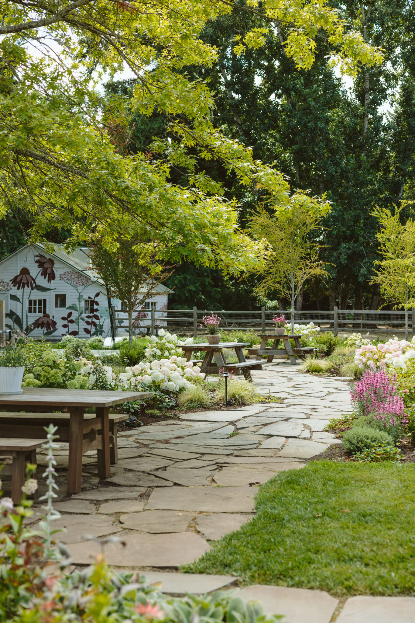 Our 2025 Summer Landscaping Reveal (With Full Process) - Emily Henderson