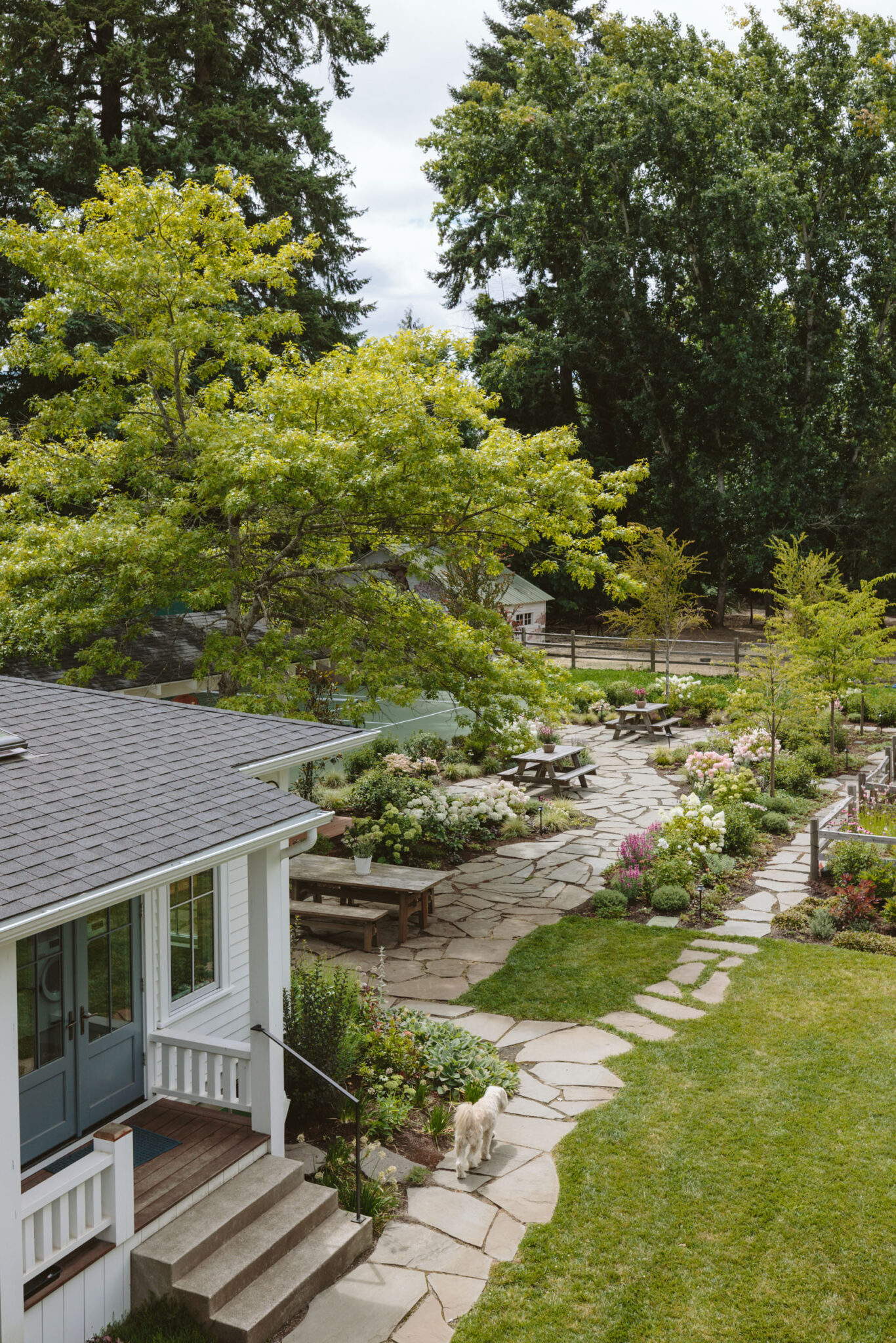 Our 2025 Summer Landscaping Reveal (With Full Process) - Emily Henderson