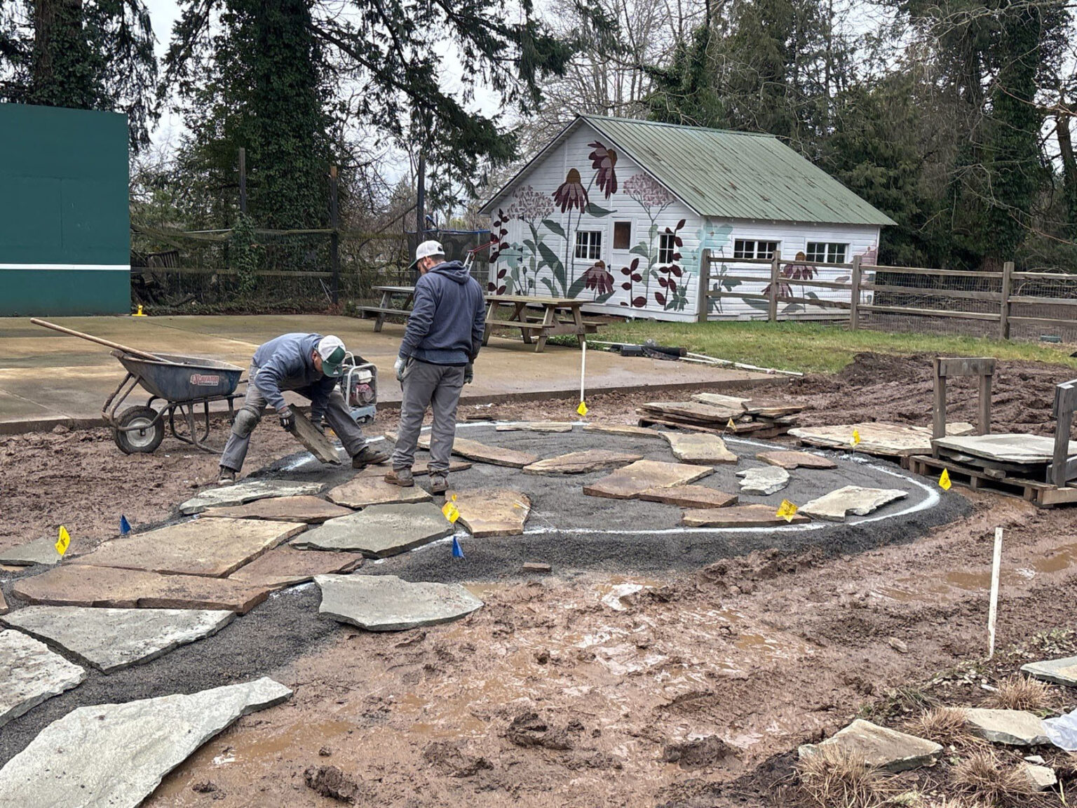 Our 2025 Summer Landscaping Reveal (With Full Process) - Emily Henderson