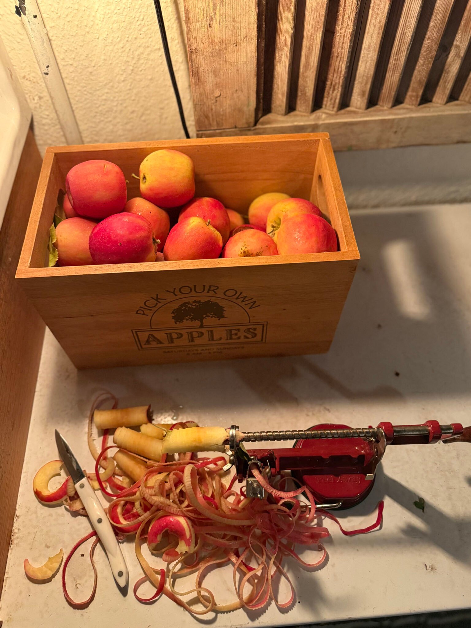 Gift Ideas For Older Parents And Grandparents (Jess' Dad Again, FTW ...