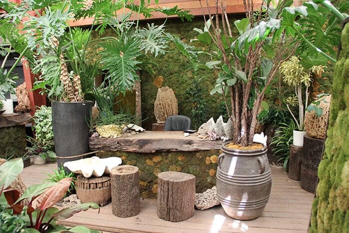 The Tropics Inc. and Guide to The Easiest Indoor Plants - Emily Henderson